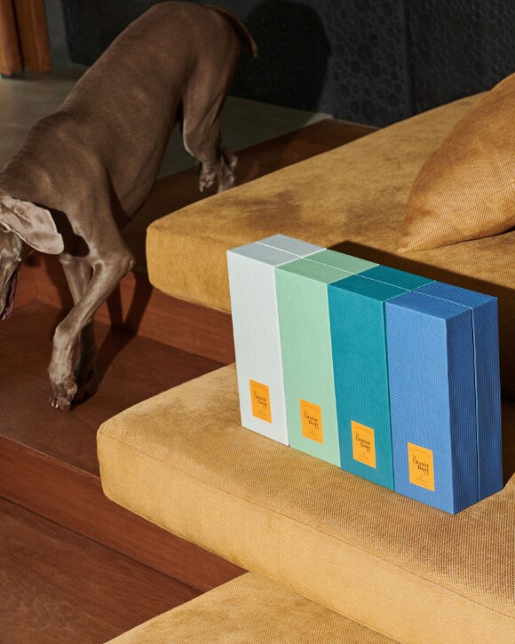 The Perfect Gift by Veuve Clicquot